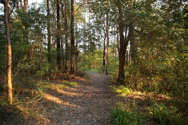 Naturelinks - Restoring nature’s infrastructure - Western Port Biosphere