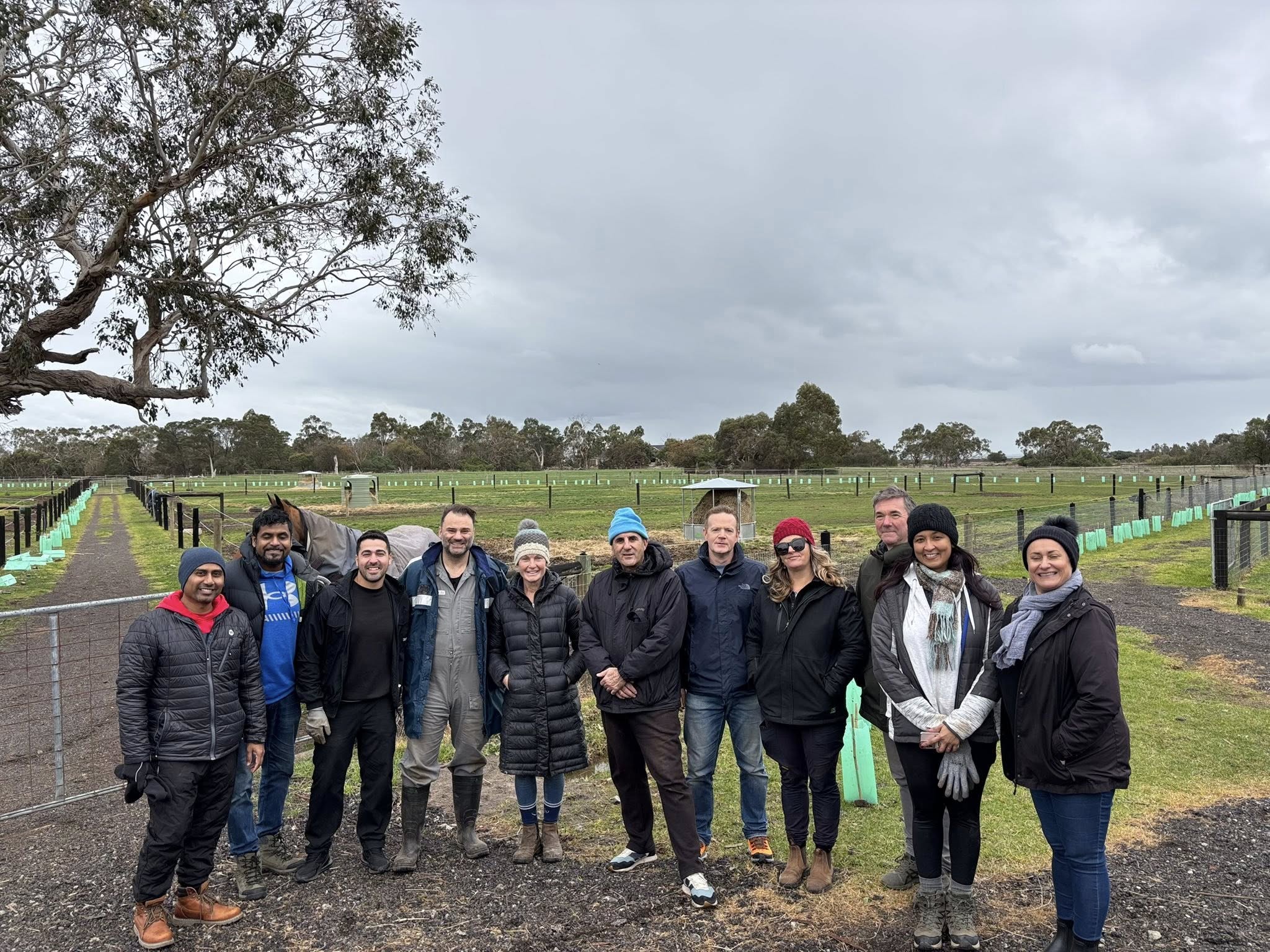 Growing Connections for Koalas in the Western Port Biosphere - Western ...