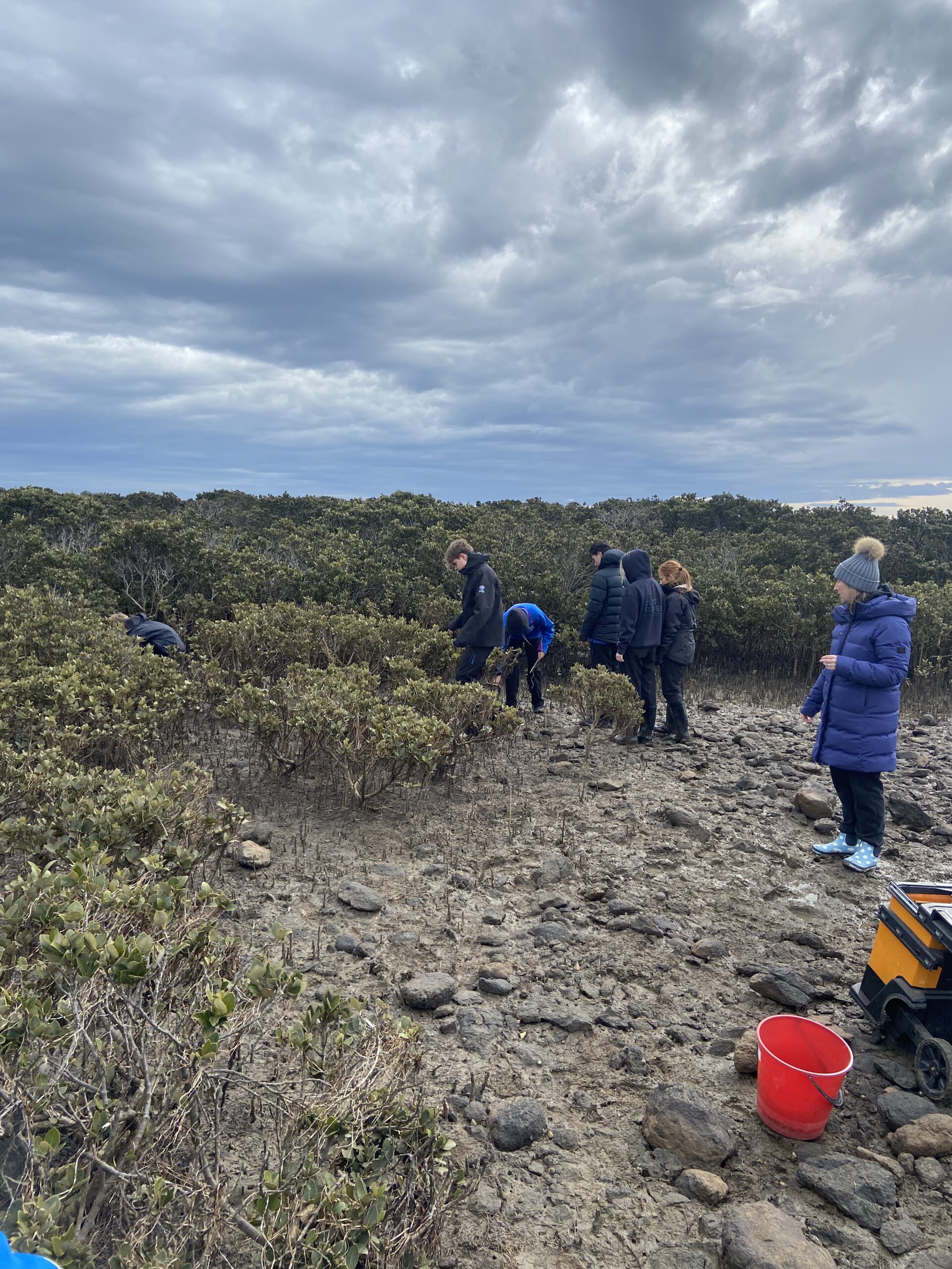 Biodiversity in Schools – Term Three Highlights - Western Port Biosphere