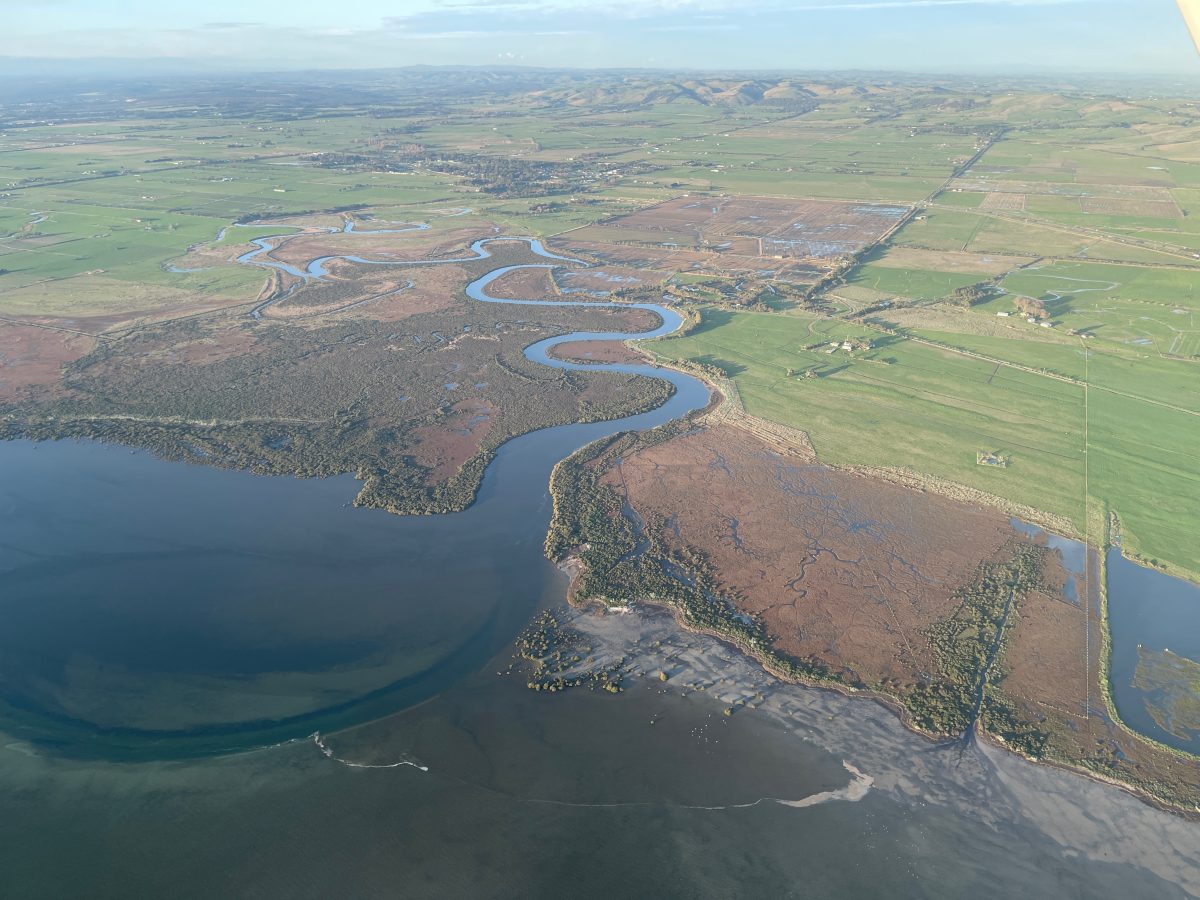 Blue Carbon Ecosystems in the Western Port Biosphere Reserve - Western ...