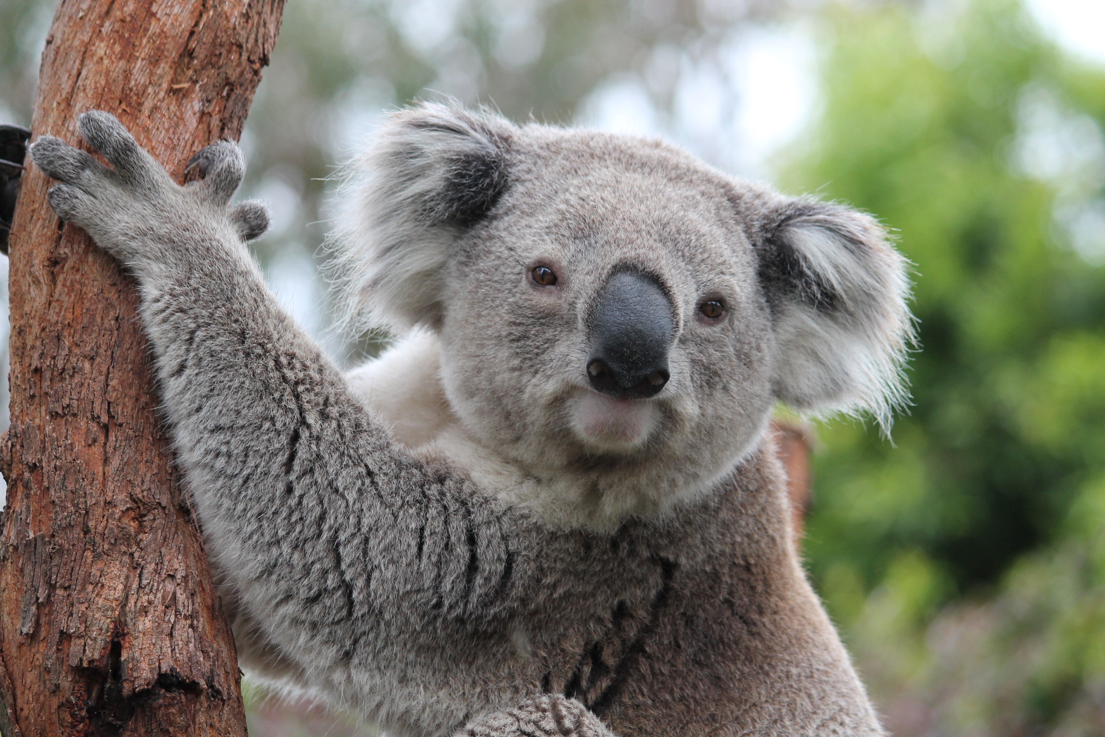 Projects update from the Foundation - Western Port Biosphere