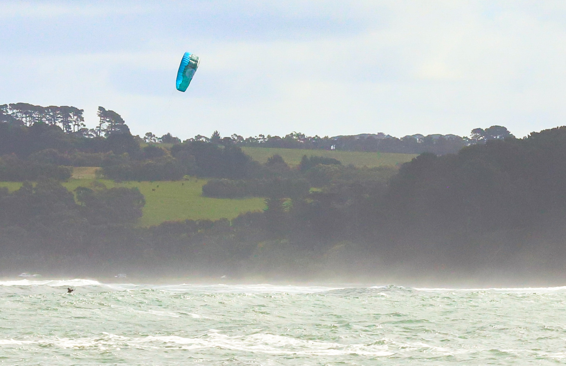 Why I love our buffer zones - Western Port Biosphere