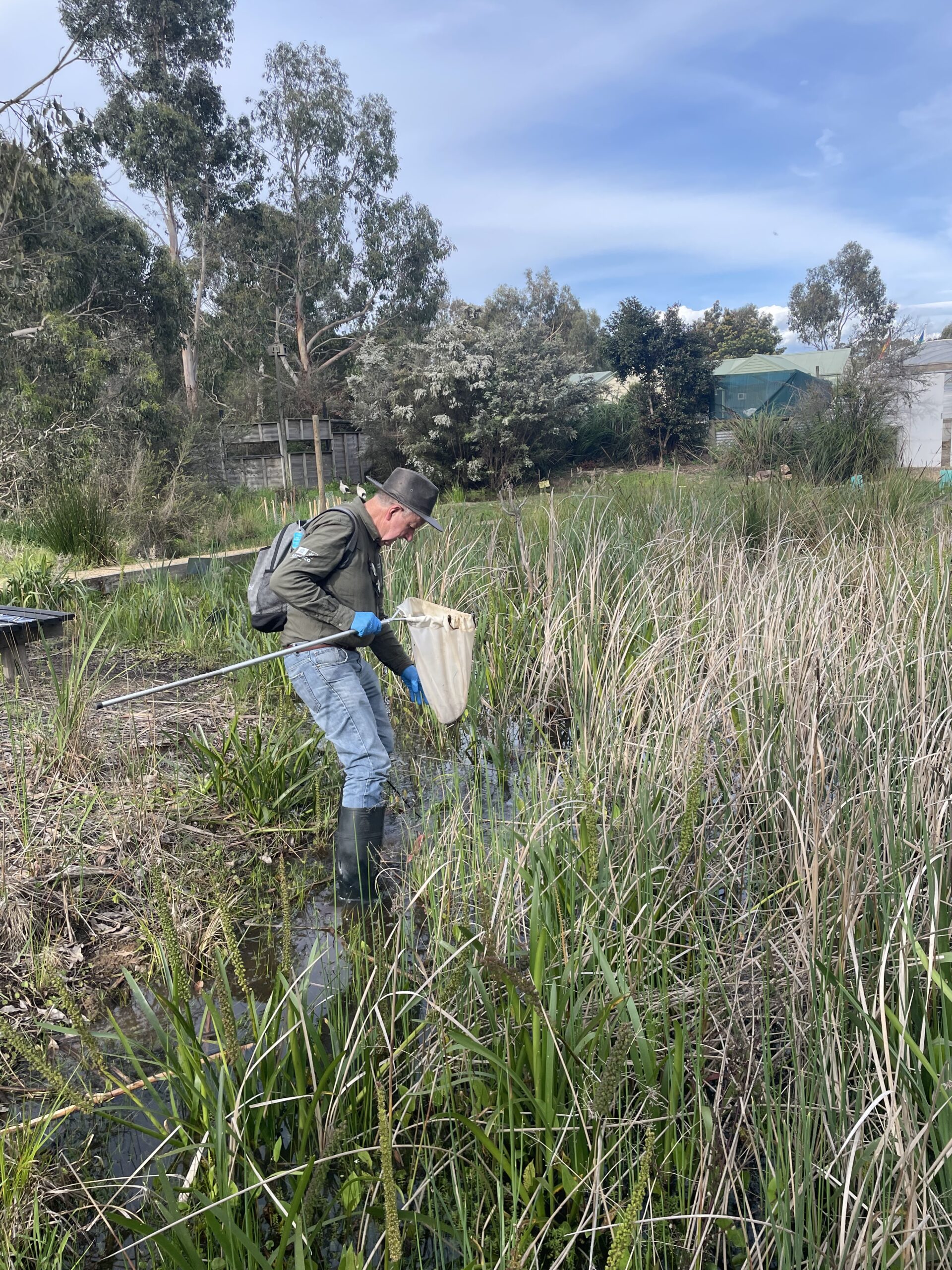 Projects updates - Western Port Biosphere