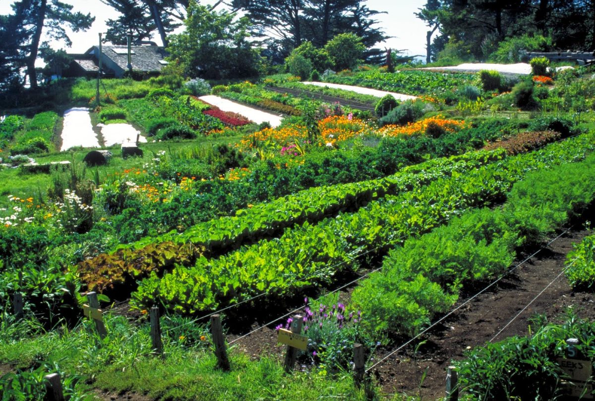Latest News - Western Port Biosphere