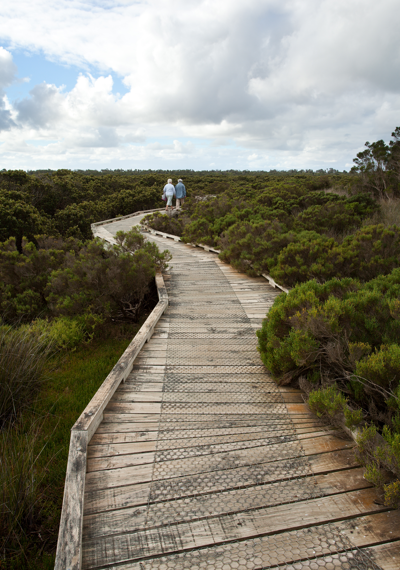Rhyll Wetlands Interactive Signage and Soundscape Experience - Western ...