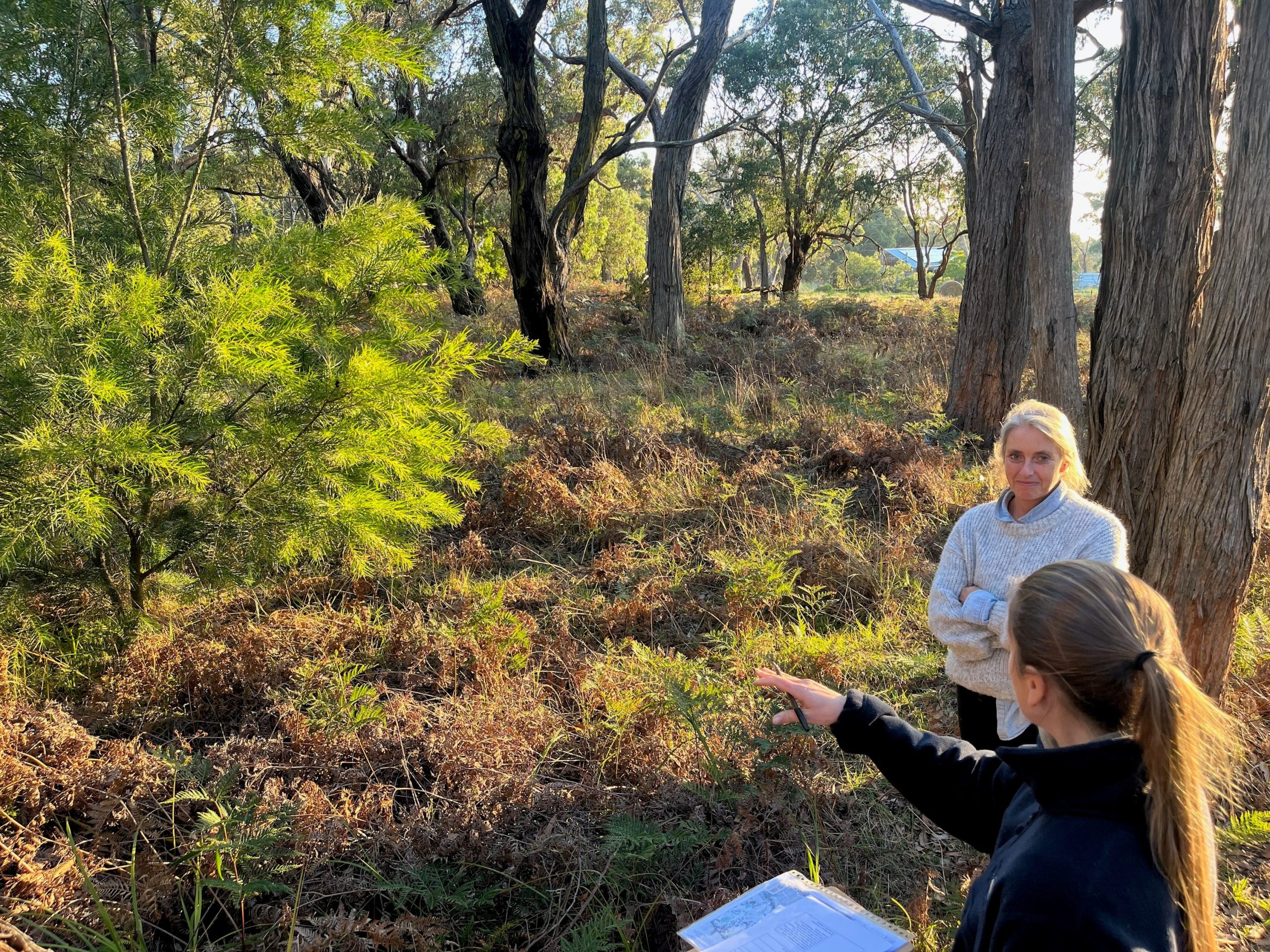 Meet Your Bushland Program: Connecting Landholders with Conservation ...