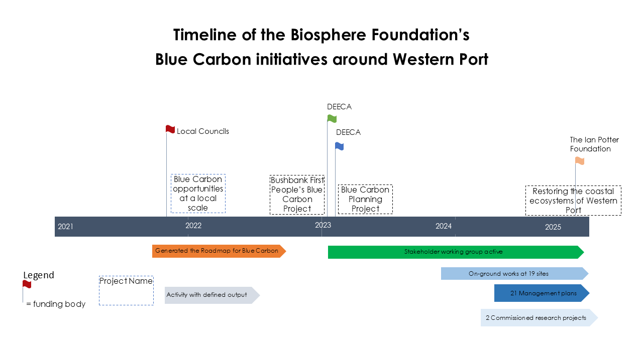 Blue Carbon Ecosystems in the Western Port Biosphere Reserve - Western ...
