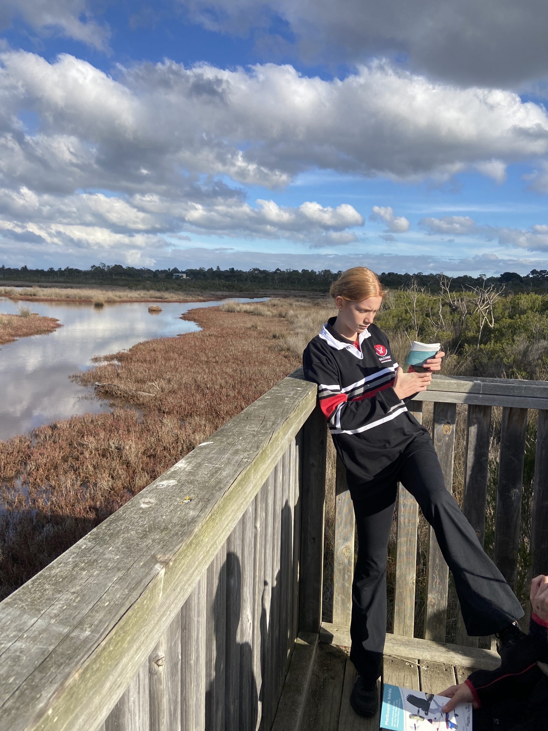 Biodiversity in Schools – Term Two Highlights - Western Port Biosphere