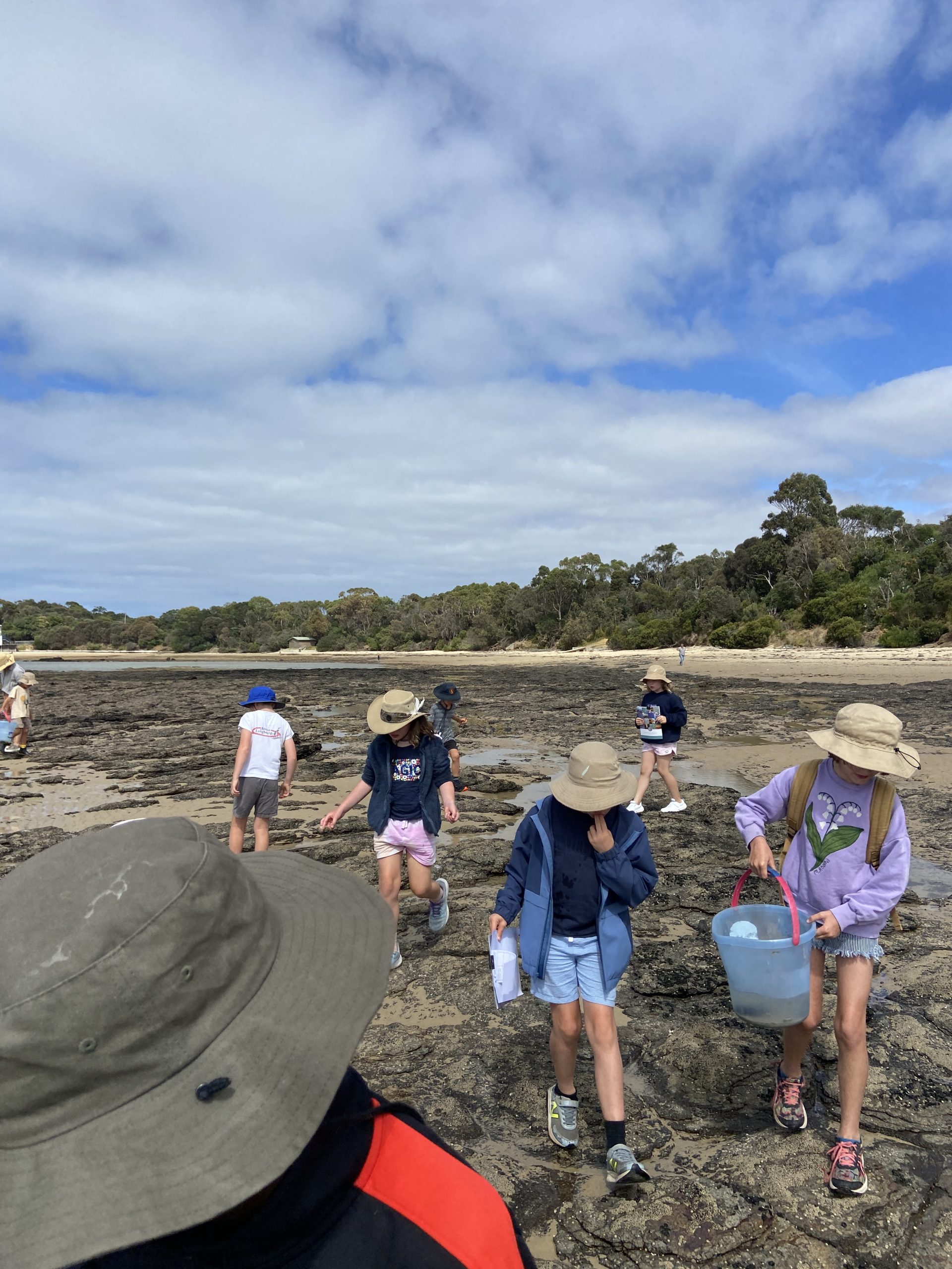 Biodiversity in Schools Term 2, 2024 - Western Port Biosphere