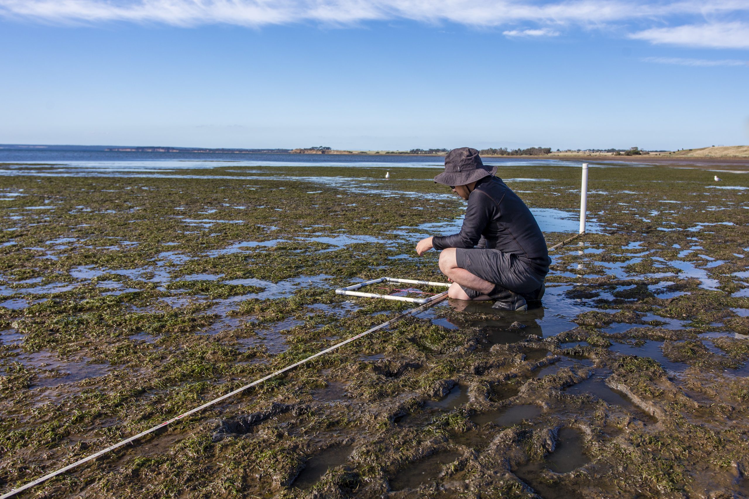 New project will boost Western Port’s defences against climate change ...