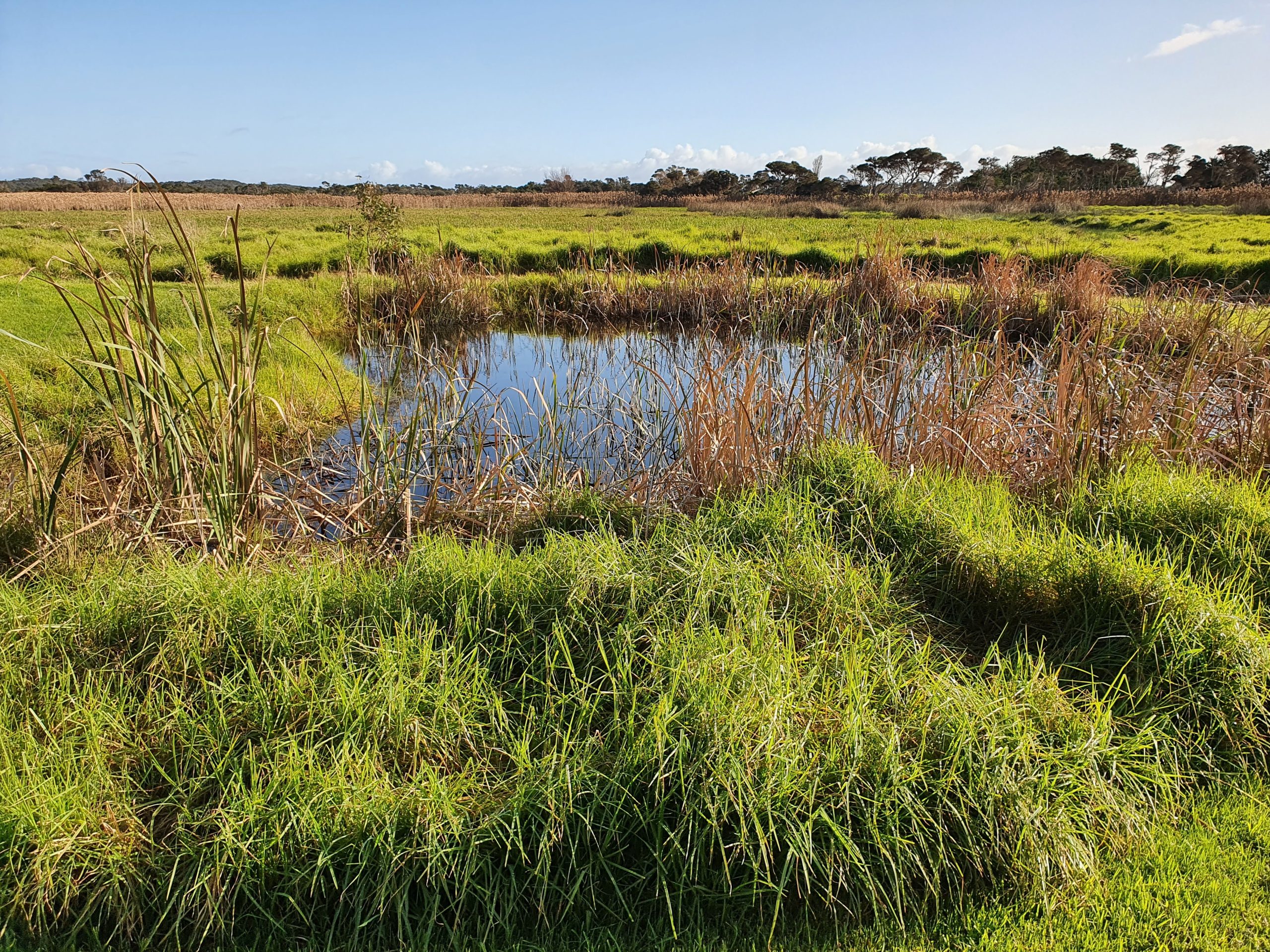 Western Port Biosphere Foundation – 1% for the Planet Partner - Western ...